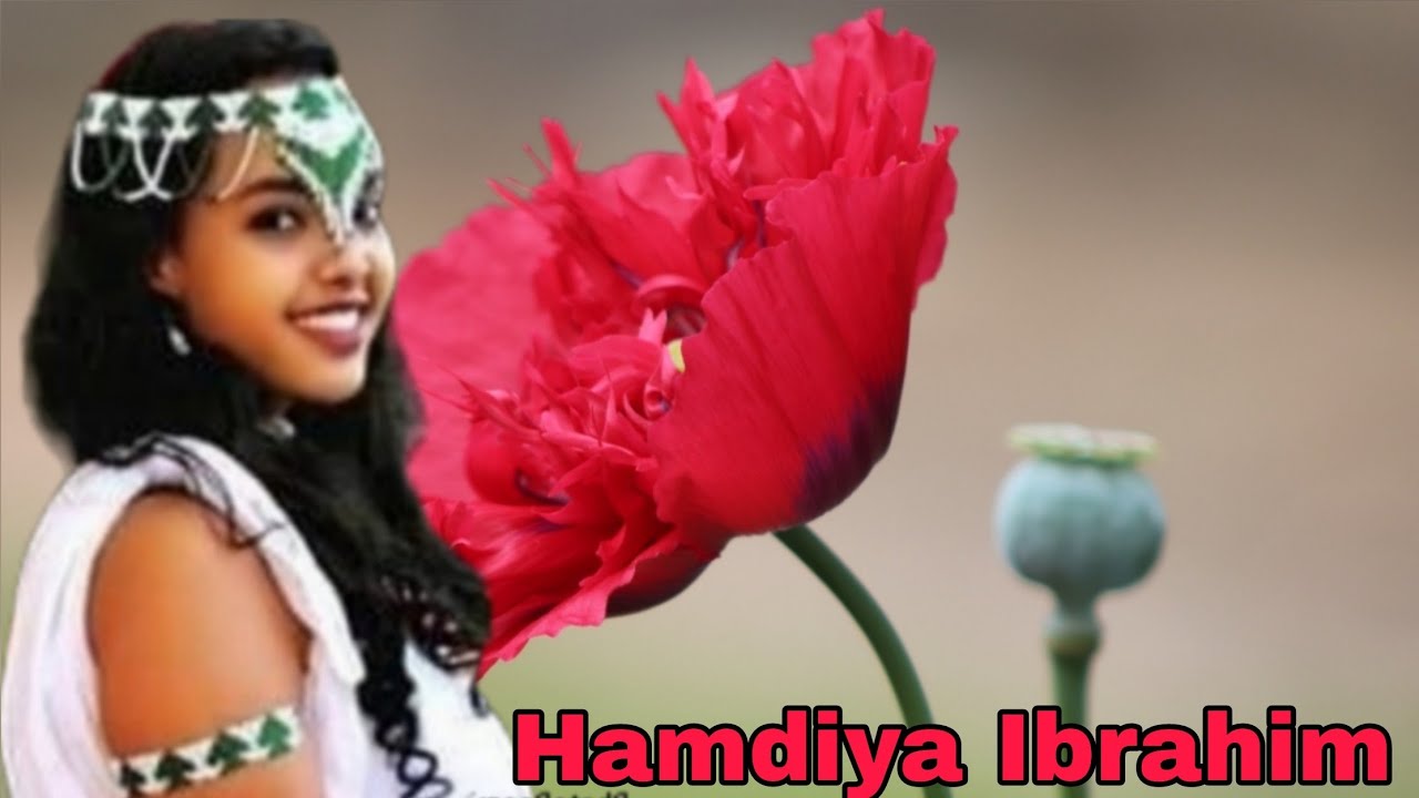 Hamdiya Ibrahim / Oromo Music Full Album - YouTube