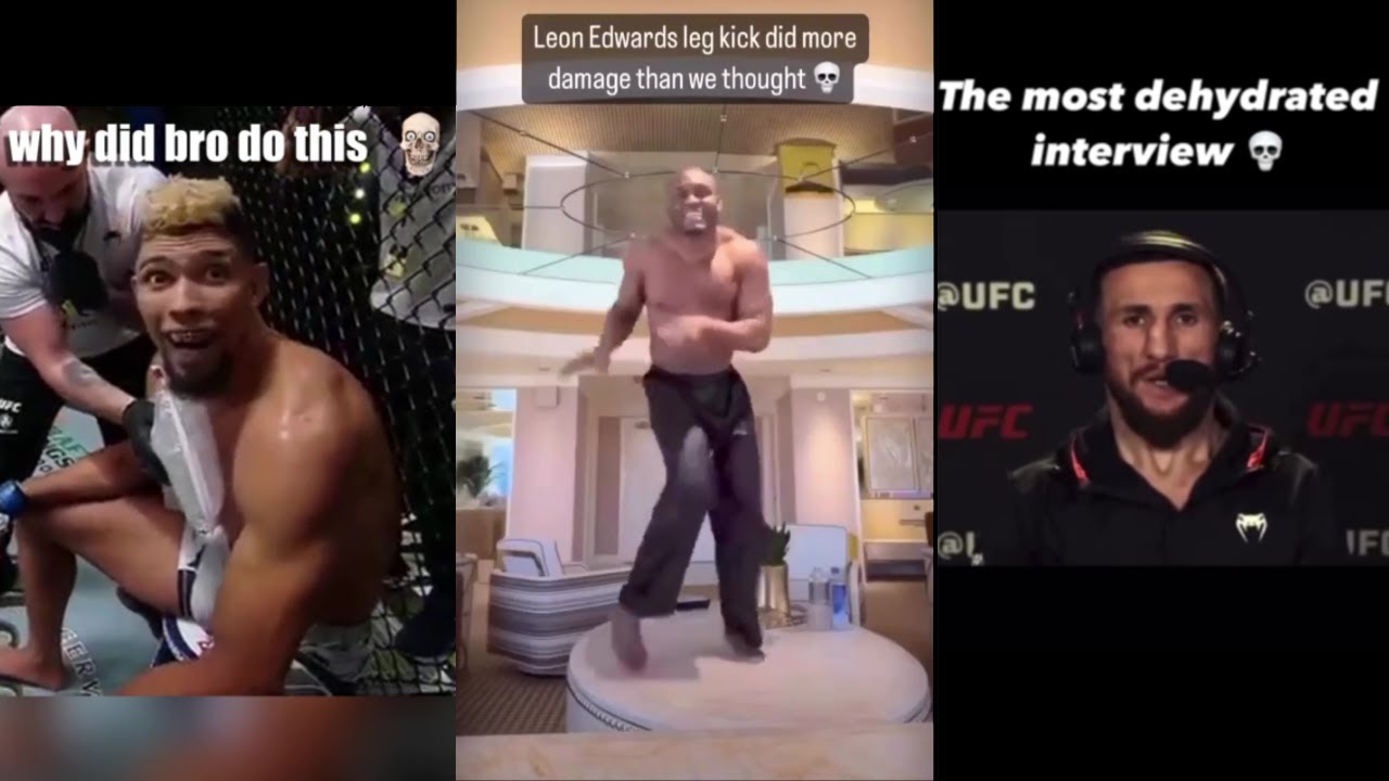 UFC Meme Compilation - YouTube