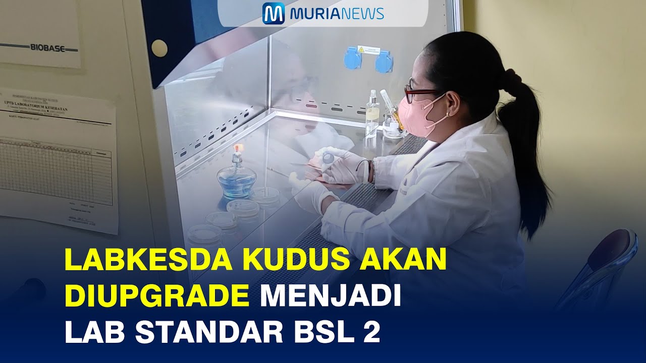 Labkesda Kudus Akan Diupgrade Menjadi Lab Standar BSL 2 - YouTube