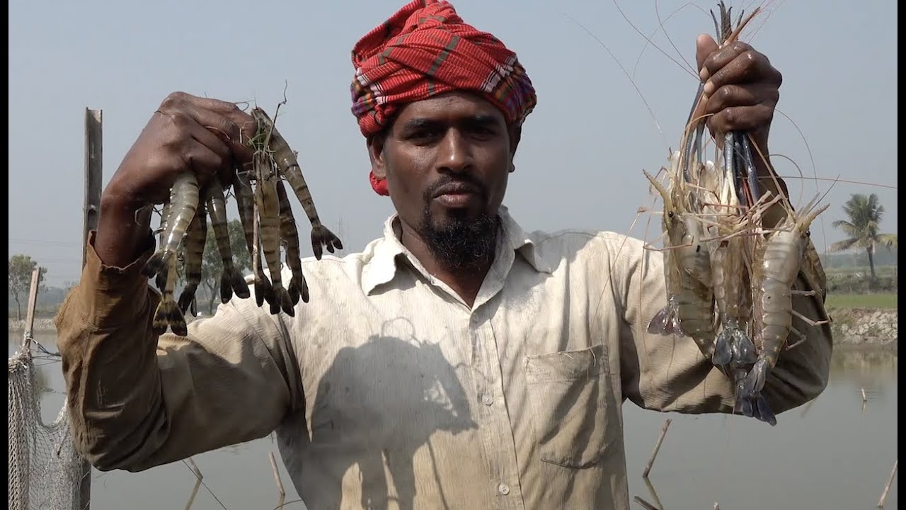 Maximum Land Utilization in Integrated Rice-prawn/Fish-vegetable Farm ...