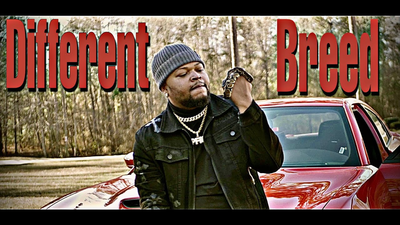 WOW WATCH!! New 2023 Hip Hop & Urban music. PFM Lavish Lee - Different ...