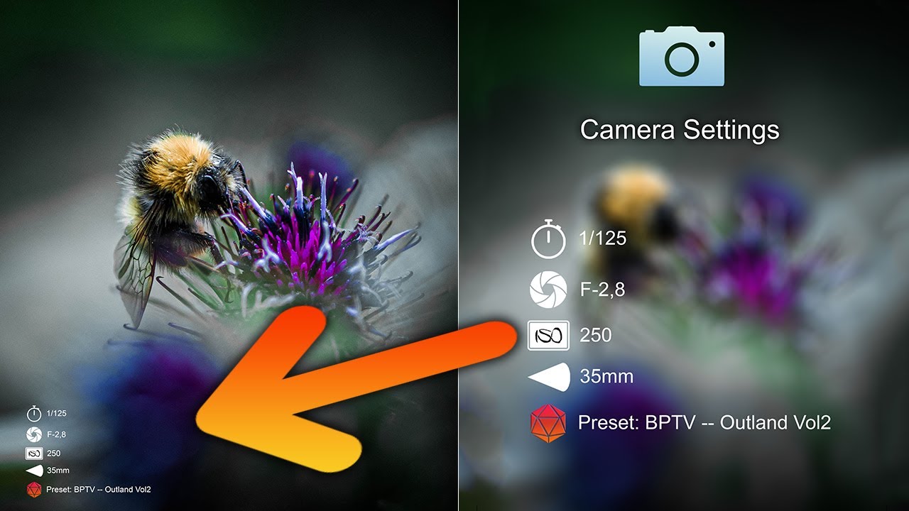 How to Display EXIF Camera Settings on Exports - YouTube