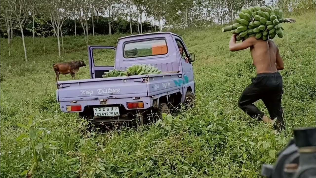 Buhay bukid🤘 - YouTube