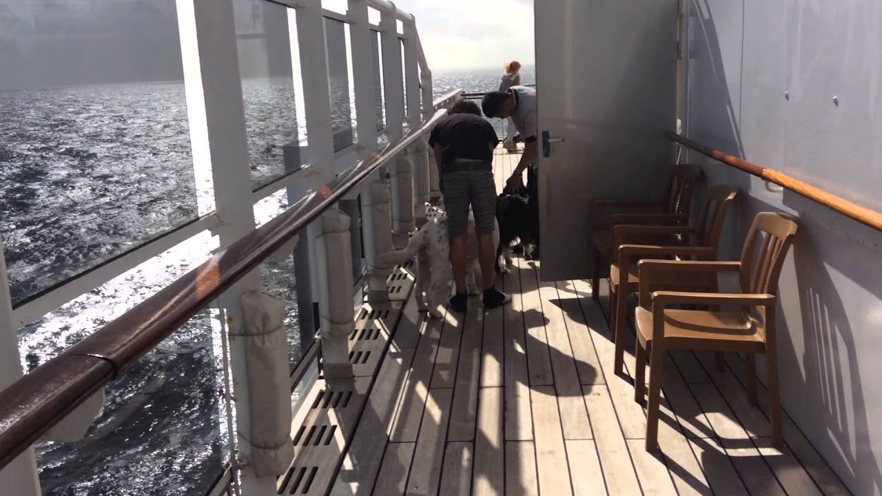 Dogs Queen Mary 2 - YouTube
