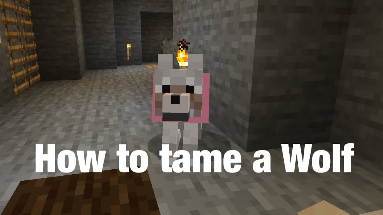 How to tame a wolf in Minecraft - YouTube