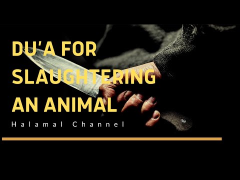 Authentic Dua - Slaughtering and Sacrificing An Animal
