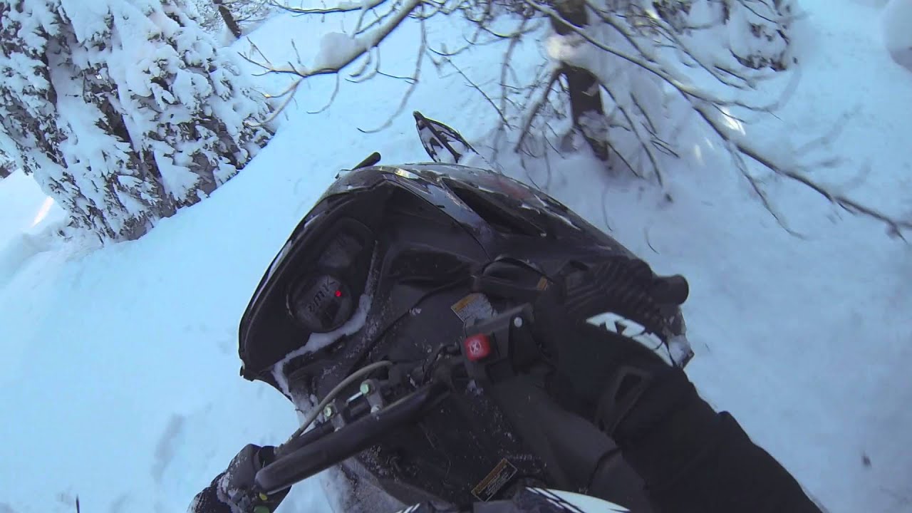 2007 Polaris Rmk Dragon in the trees - YouTube