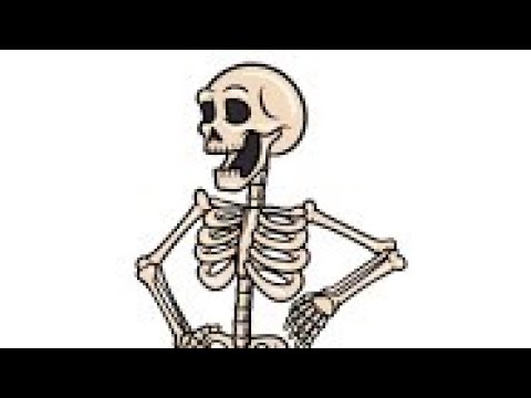 Model of skeleton by earbuds.. Aadhya .. Class 6 Biology - YouTube