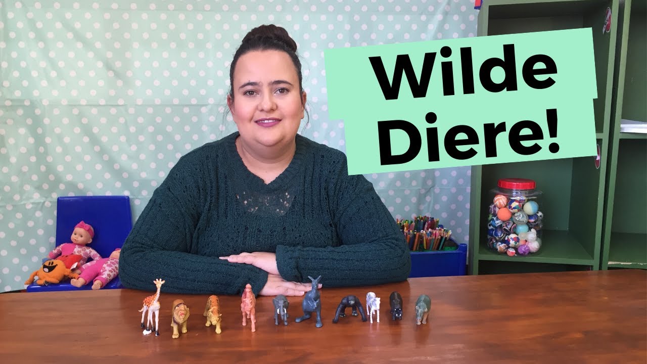 Ons leer oor WILDE DIERE! - YouTube