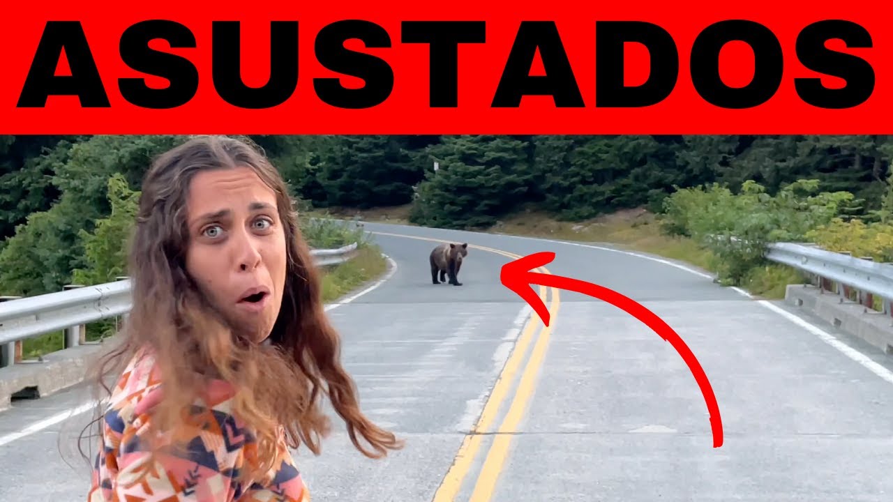 El FINAL de la RUTA por ALASKA se pone PELIGROSA😱 NOS encontramos CARA ...