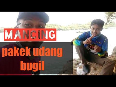 seru seruan mancing ikan pakek udang bugil 🤣🤣