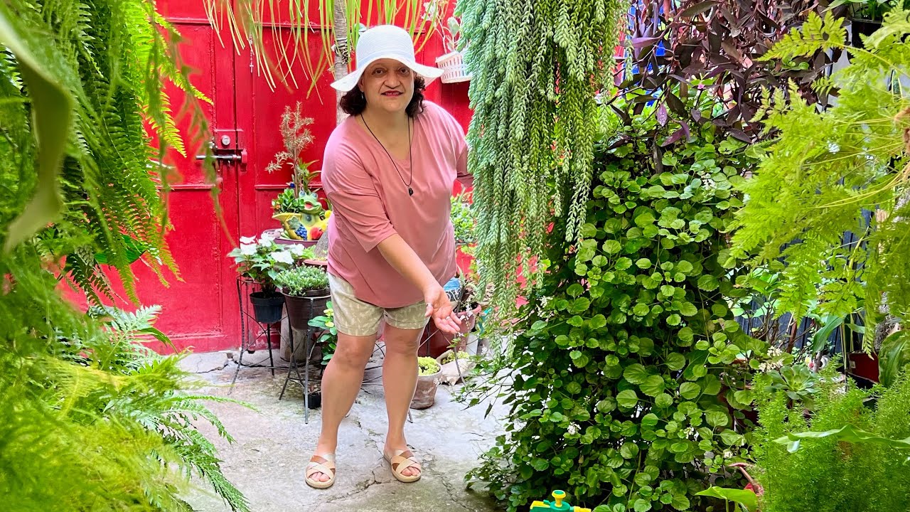 Por qué me da TANTA FLOR🌼 la Planta del Dolar💵?! - YouTube