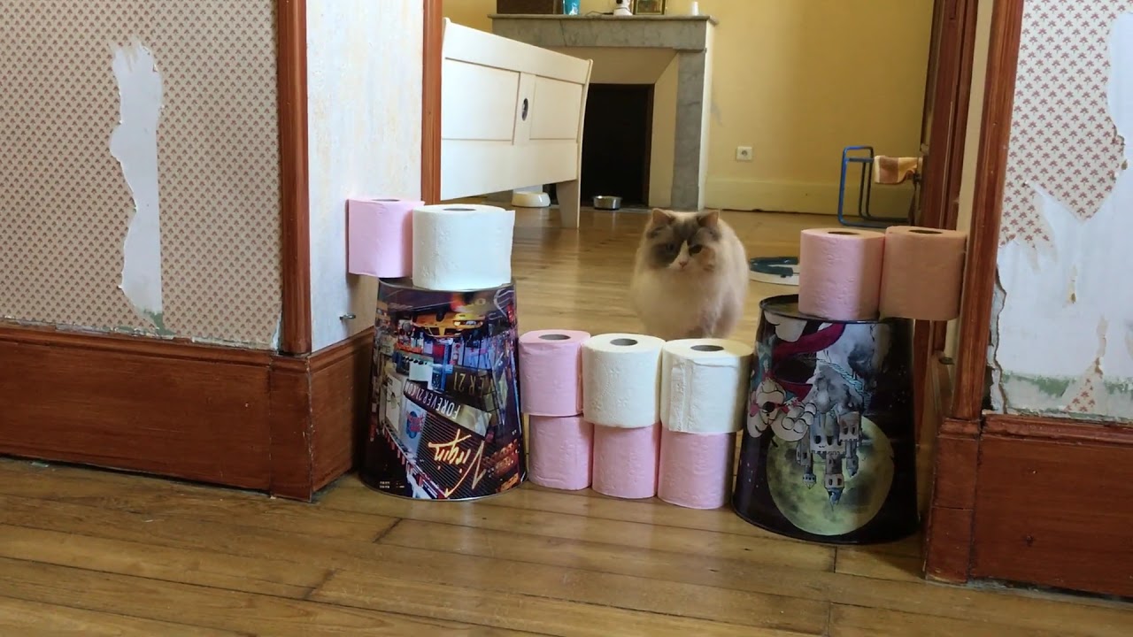 Neolya PQ2 - YouTube