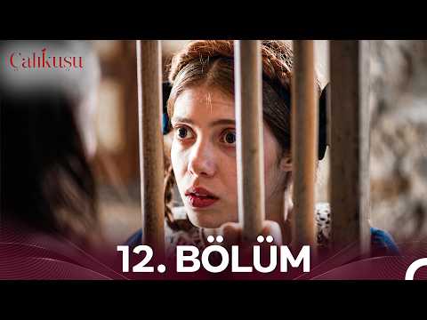 Çalıkuşu 12. Bölüm (HD)