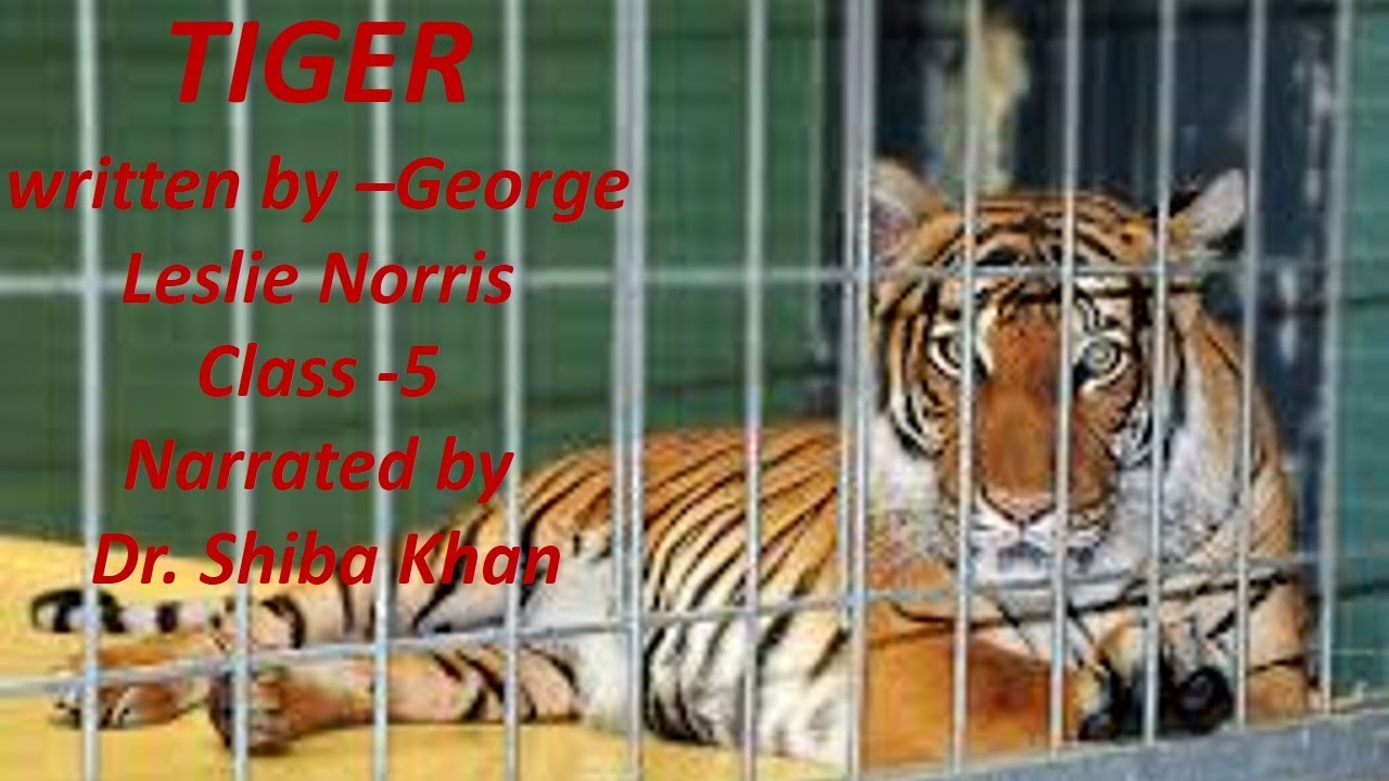 English - Class- 5 - TIGER (Poem) written by George Leslie Norris from ...