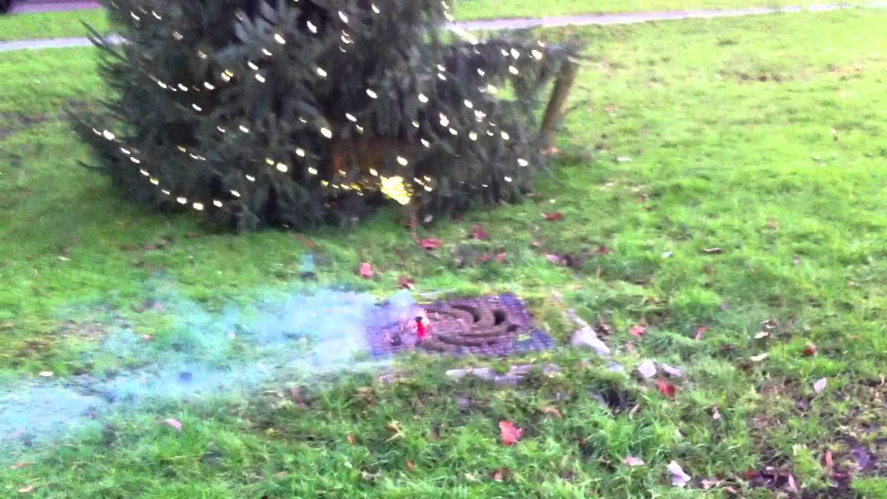 Asian Thunder in lege put. - YouTube