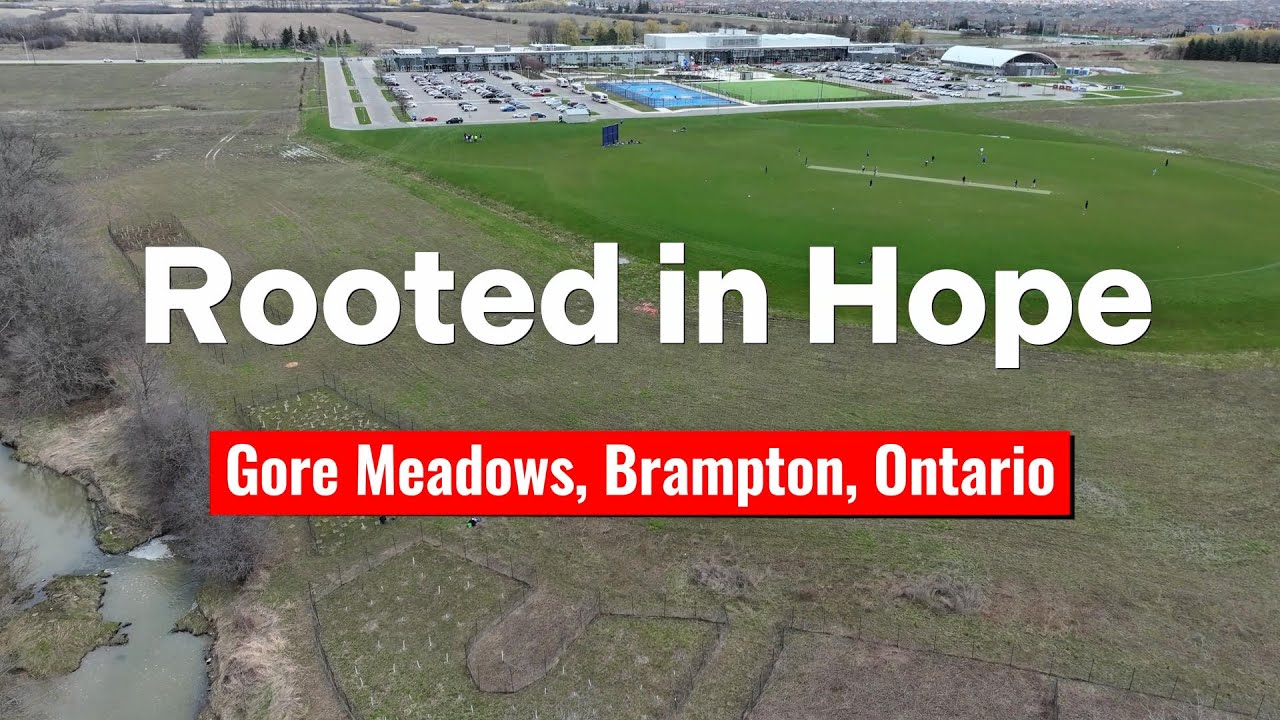 Rooted in Hope - Gore Meadows - Brampton Ontario - YouTube