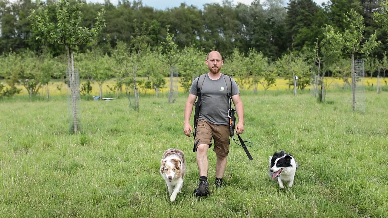 Den Boogerd (Halen) - Winnaar 'de meest bijvriendelijke boomgaard' 2024 ...