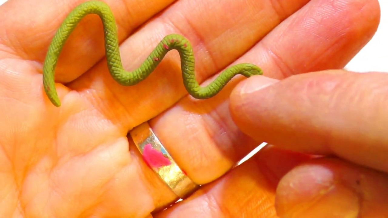 miniatures SAFARI good luck minis miniature safari animals - YouTube