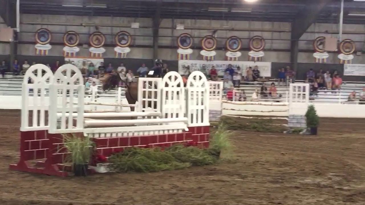 Madelyn Porter- Maclay Regionals 2017 - YouTube