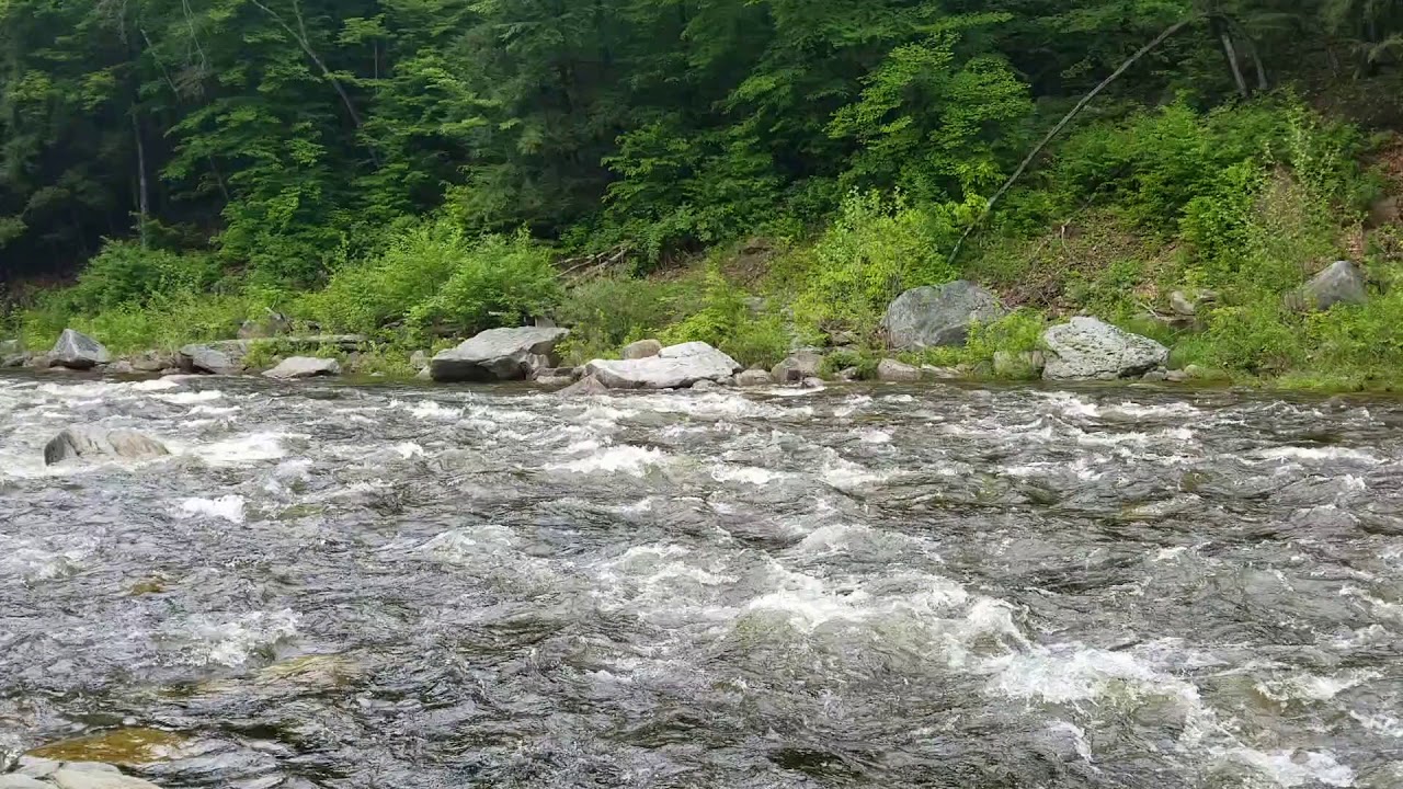 Everyone Loves a Little Rapids - YouTube