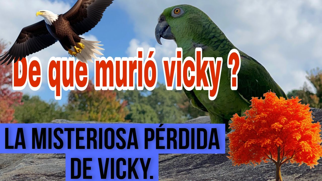 De qué murió Viky /lo que en verdad pasó con Viky /la verdadera ...