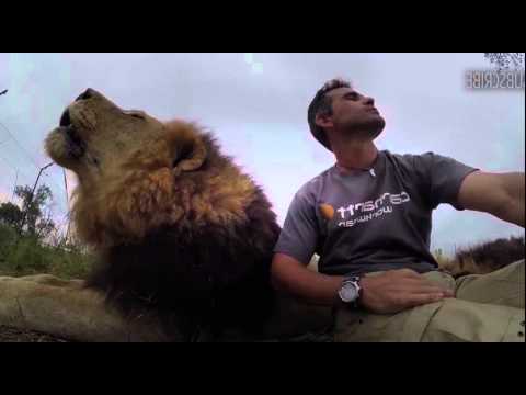 Lion Interrupts Speech - YouTube