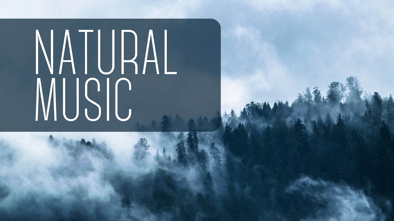 Natural music | Relaxing Beautiful Music - YouTube