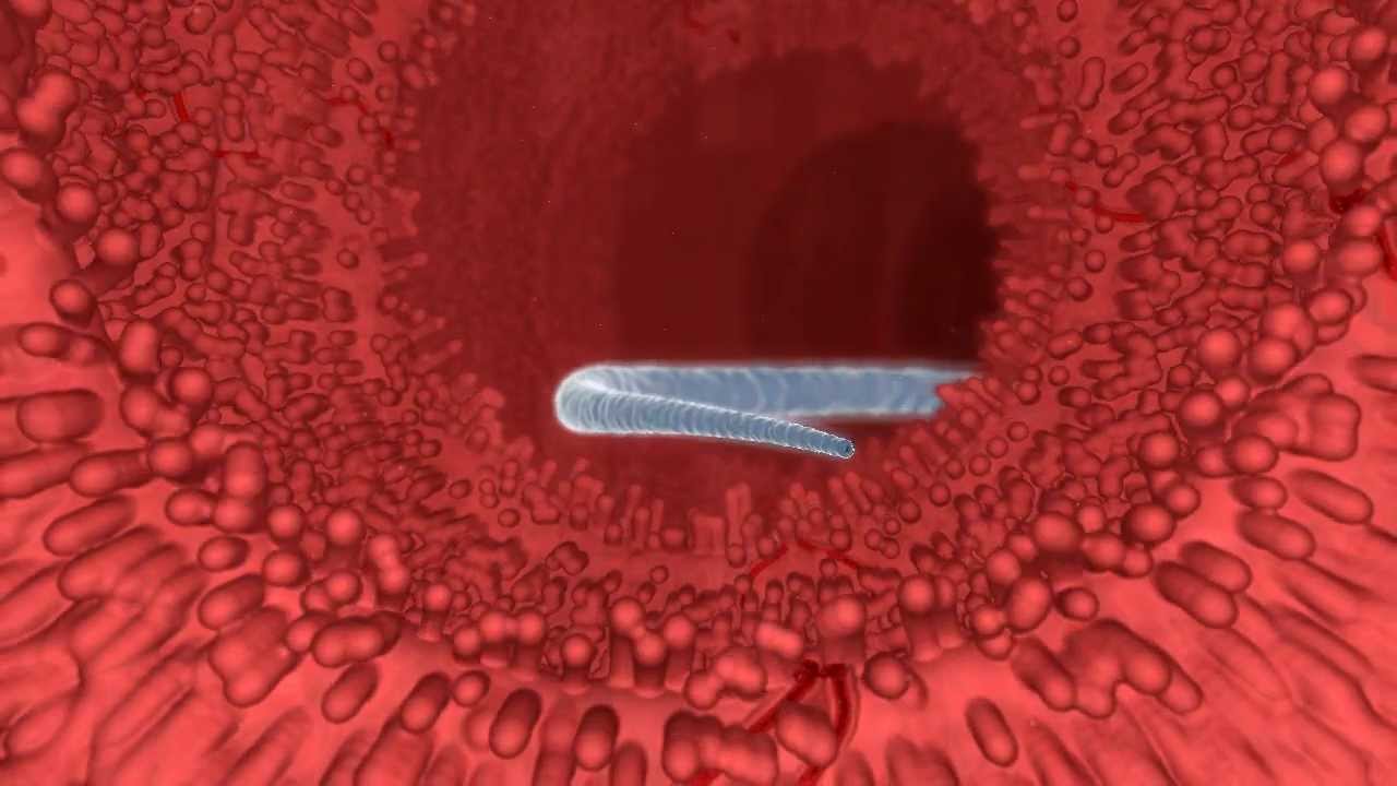 ScienceVisuals/Visualbiotech Demo Reel - alien worm invader version ...