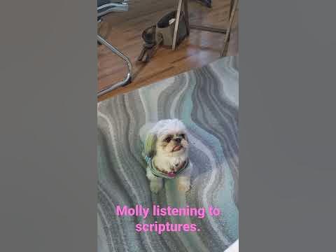 Molly listening to scriptures. she's a Jewel. - YouTube