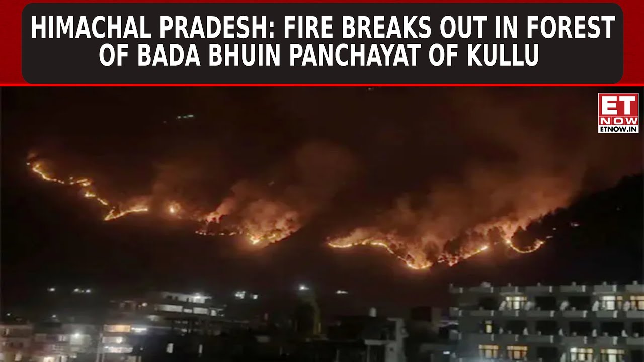 Massive Forest Fire Erupts In Kullu, Himachal Pradesh, Damaging 50 ...