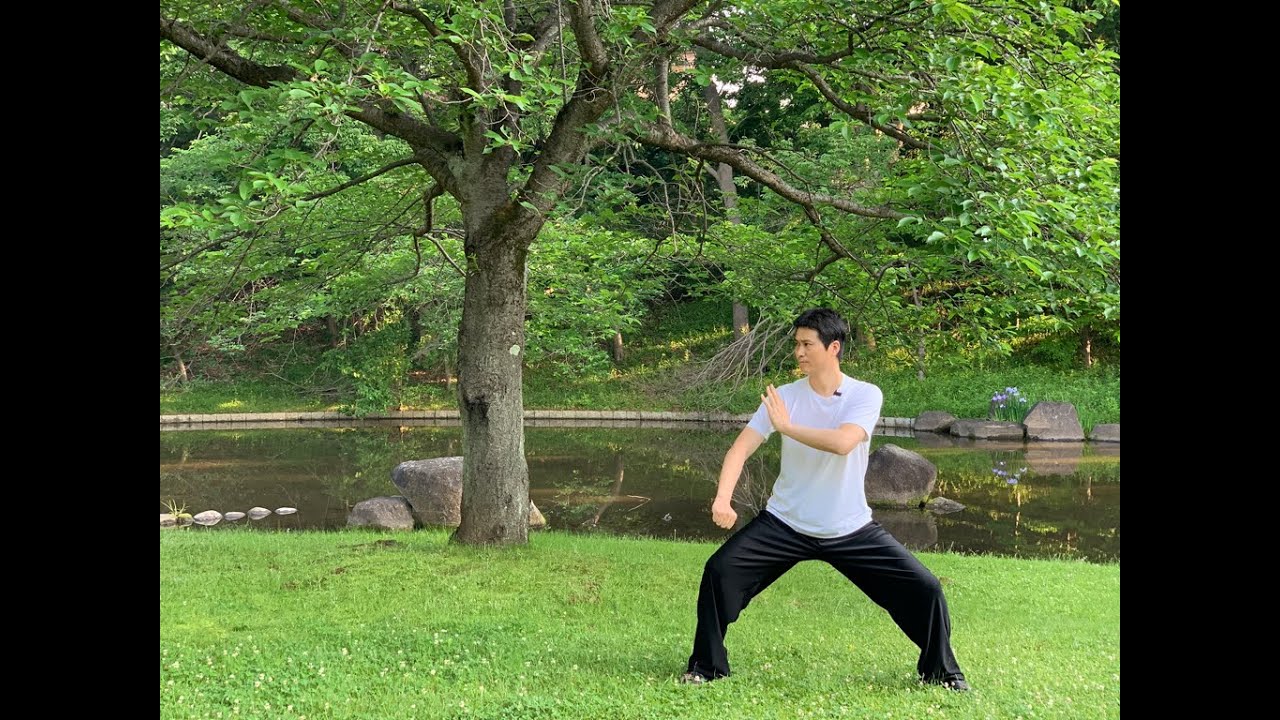 太極八法五歩 Taiji bafa wubu | 太極修練TaijiShuren - YouTube