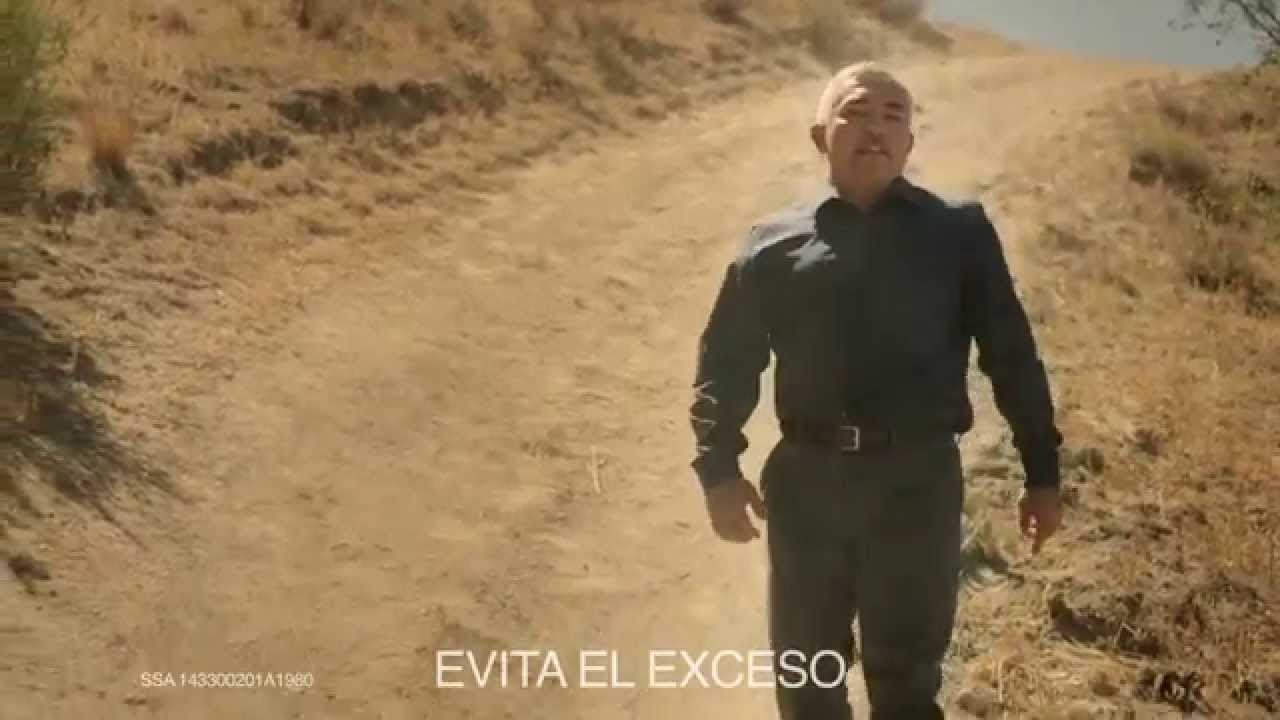 César Millán Keep Walking - YouTube