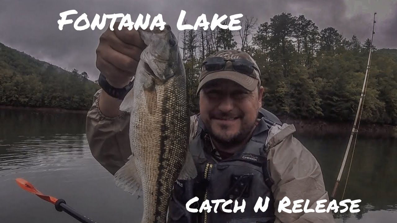 Fontana Lake Kayak Bass Fishing with Georgia Kayak Fishing - Catch N ...