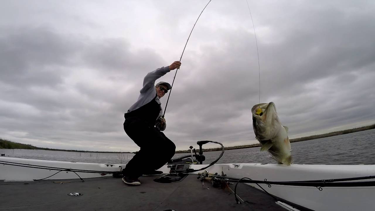 GoPro: 5/8/16 California Delta Frog and punch - YouTube