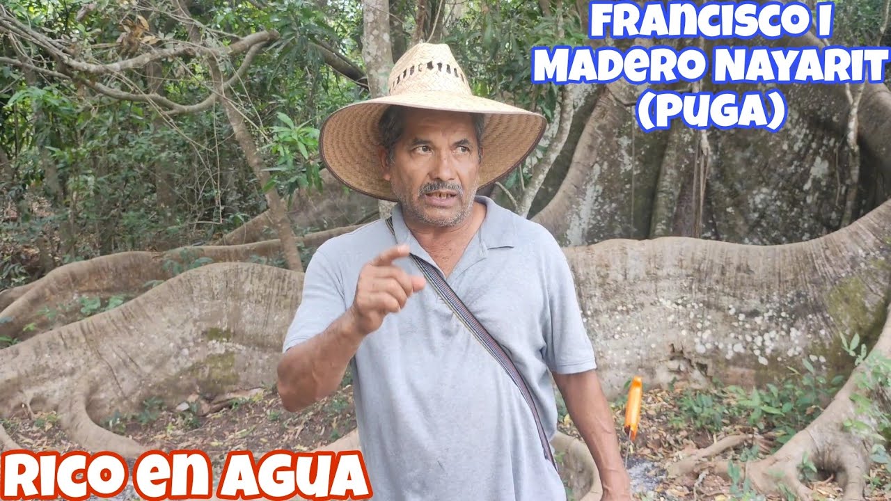 Descubre los Ojos de Agua que Abastecen a Todo un Pueblo (Puga Nayarit ...