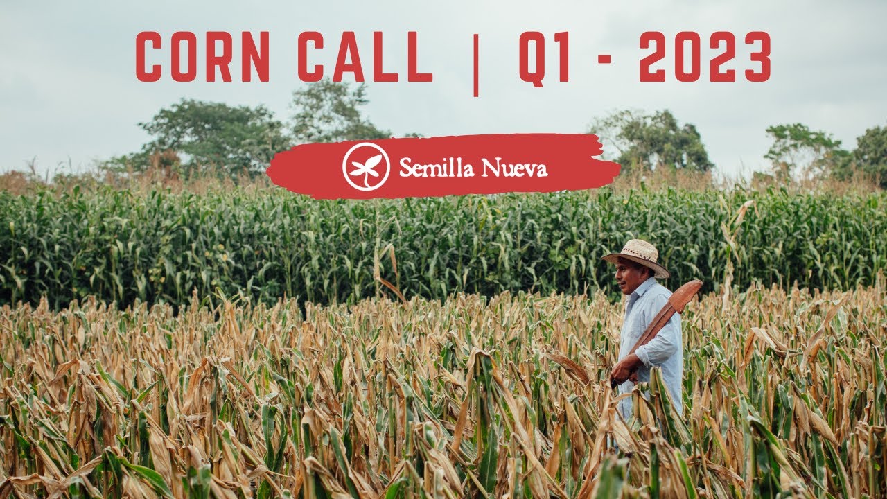 Corn Call | Q1 2023 | Semilla Nueva - YouTube