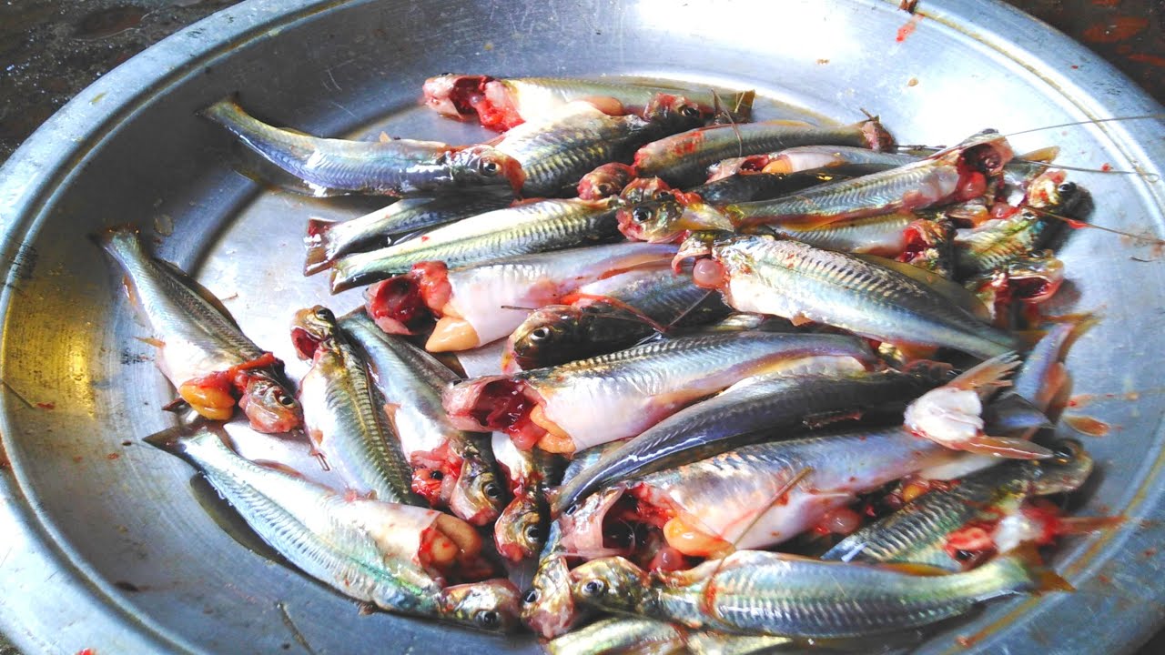 Amazing Tengra Fish Cutting skills//How to Cut Tengra Fish/ Tengra Fish ...