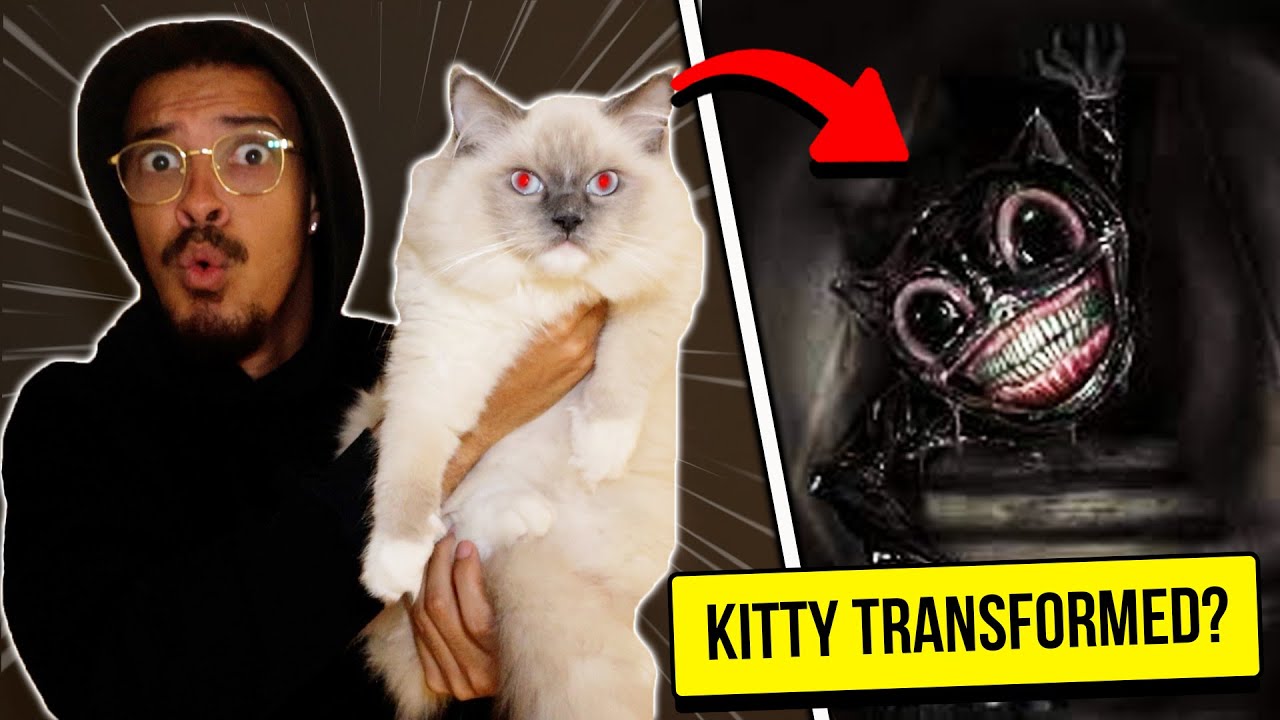 I Purchased An ADORABLE Kitten Off The Dark Web... (IT TRANSFORMED AND ...