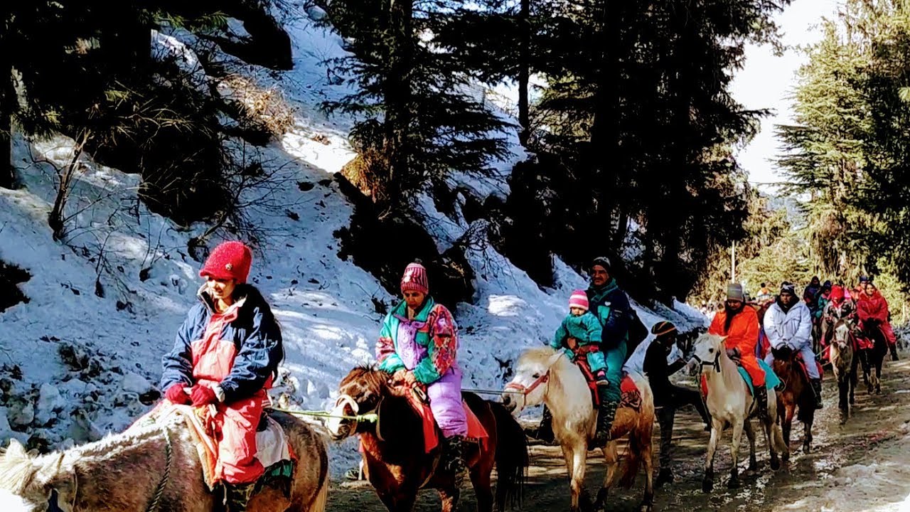 Shimla, Kufri Snowfall - Tourist Enjoy Horse Riding in Kufri Snow - YouTube