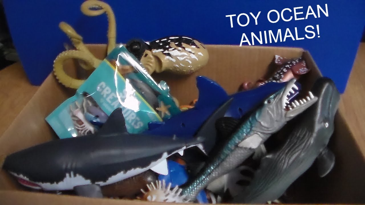 BIG BOX OF TOY OCEAN CREATURES! Shark Whale Squid Octopus Blue Tang ...