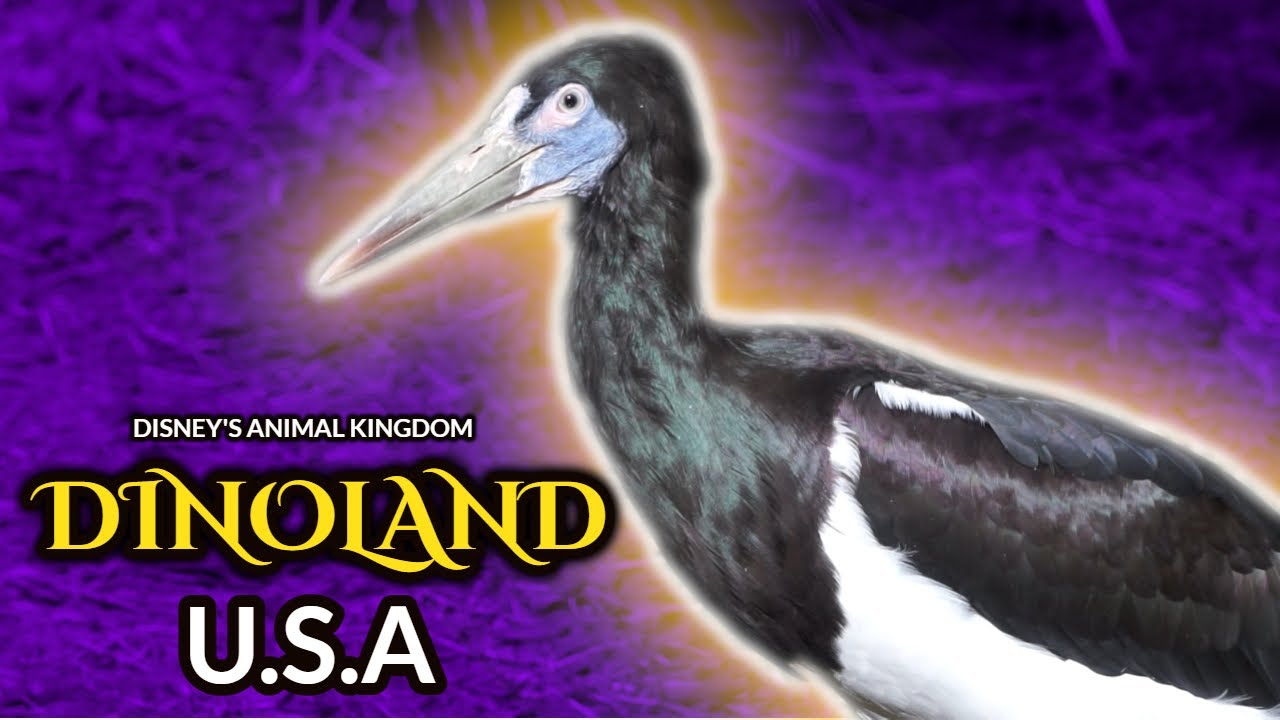 DinoLand U.S.A | Disney's Animal Kingdom - YouTube