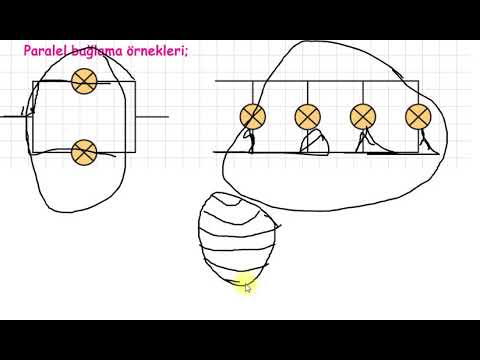 7. Sınıf Ampullerin Bağlanma Şekilleri