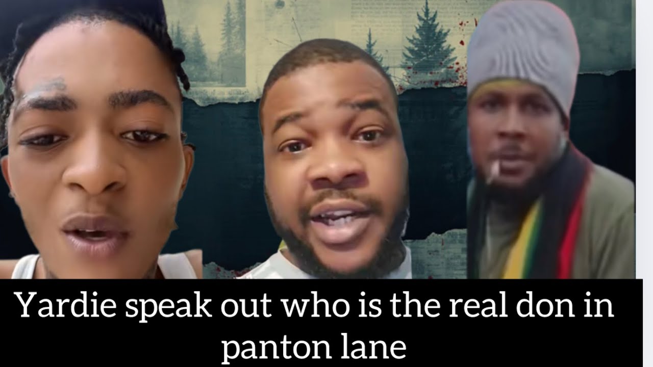 Yardie break down who are the real don of panton lane 🤔 - YouTube