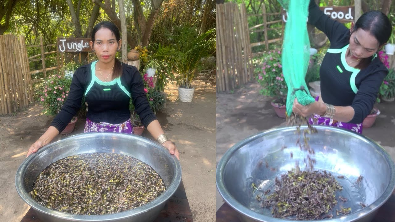 How to cook locusts and eat delicious | Locusts cooking in my ...