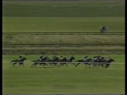 1997 Kildangan Stud Irish Oaks - YouTube