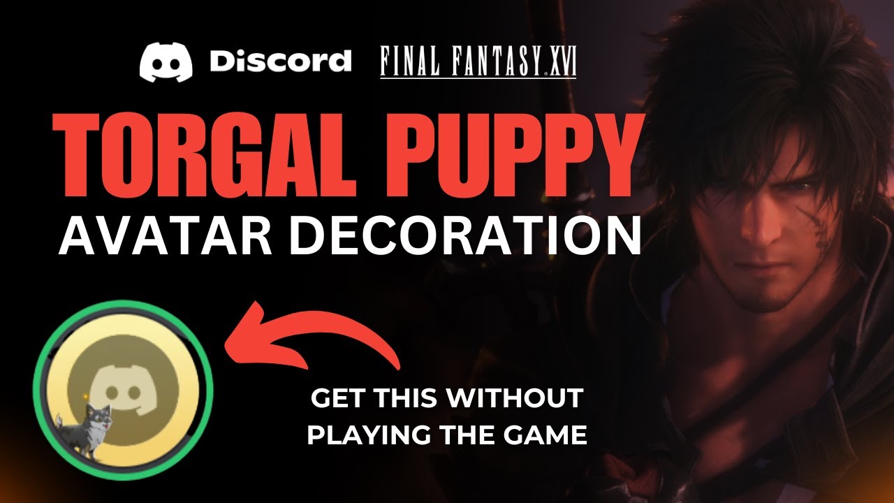 Complete Torgal Puppy Avatar Decoration Quest on Discord Without ...