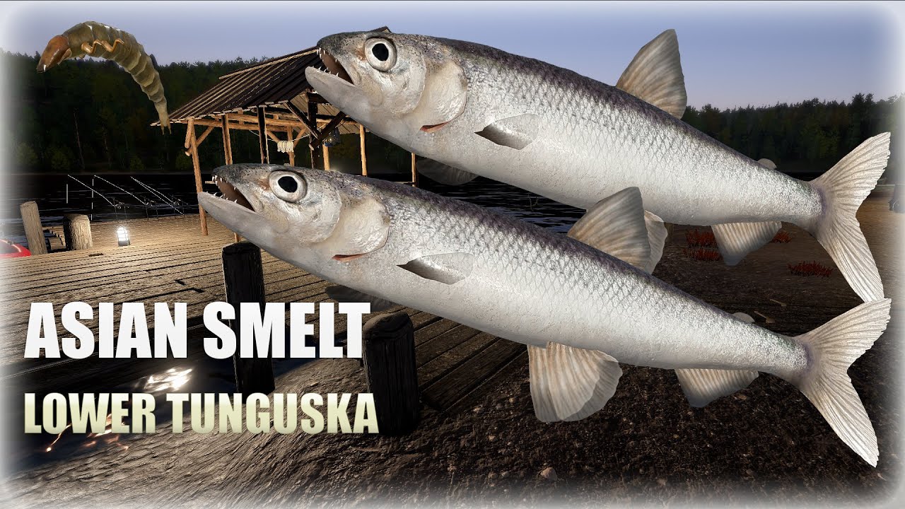 Russian Fishing 4 RF4 Lower Tunguska River Active Spot Asian Smelt ...