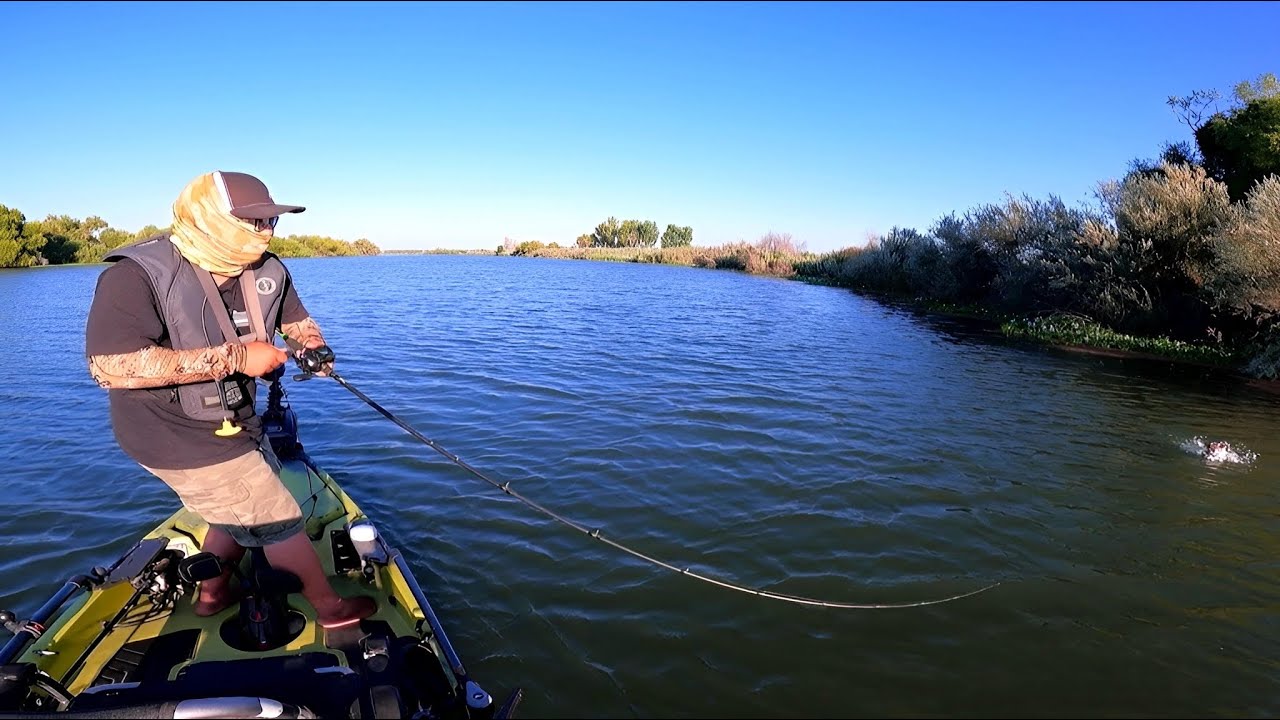 Quick Fishing Session on the River(Round 2) - YouTube
