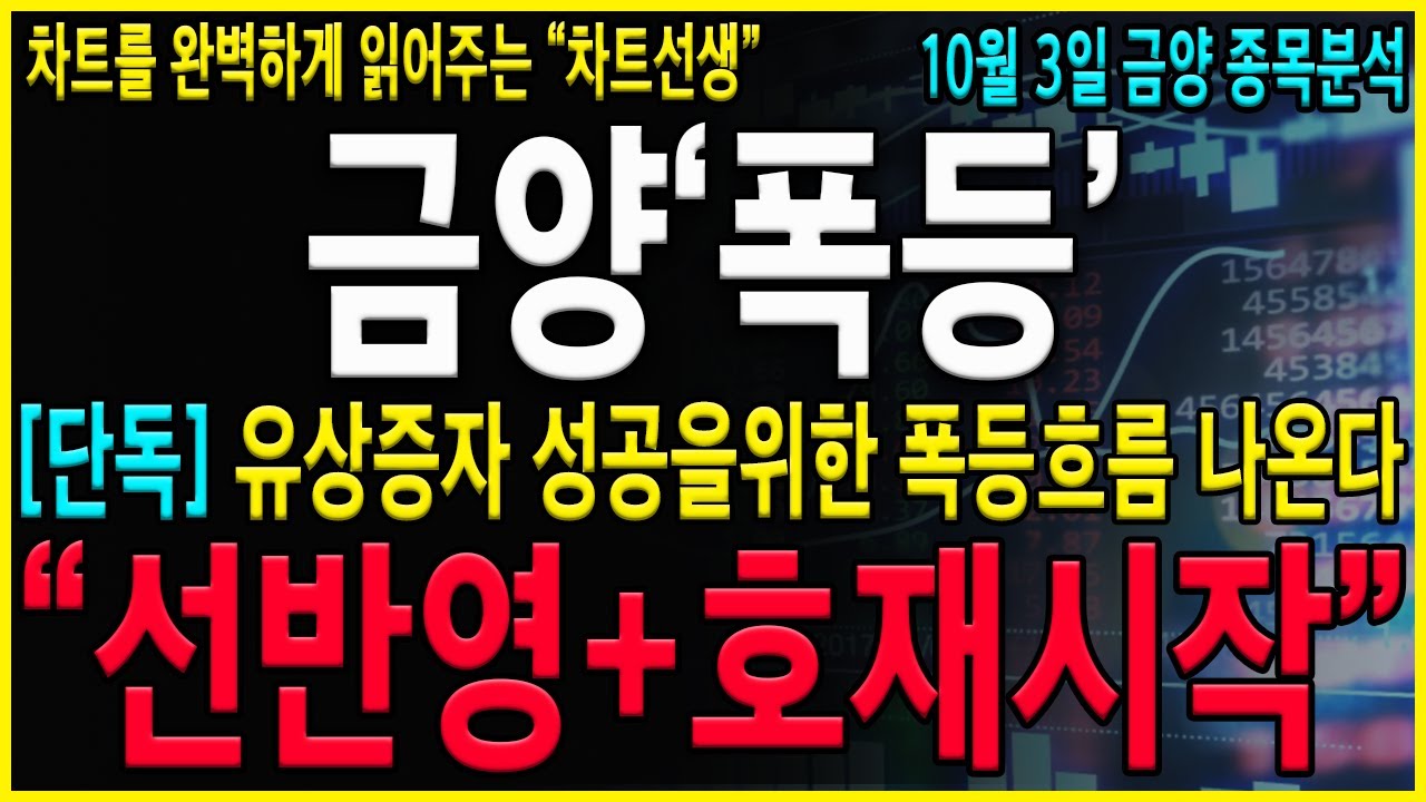 금양 주가 전망 악재는 이미 끝났습니다 유상증자 성공을 위한 폭등흐름 반드시 나올 수 밖에 없습니다 이 떄까지는 버티셔서 대응하세요 에코프로 에코프로비엠